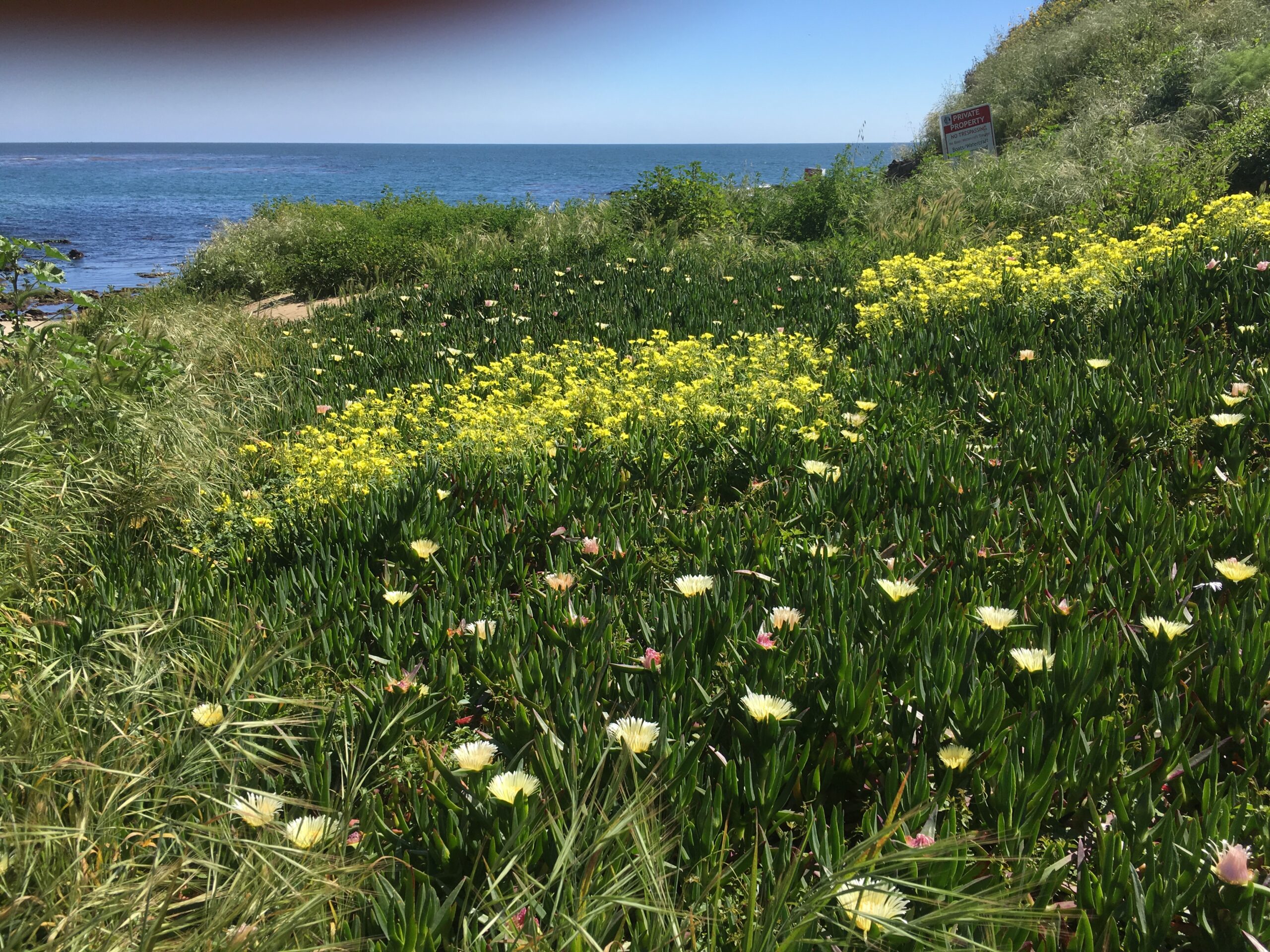 SA Rock Connection - KXFM Radio, Laguna Beach, Ca